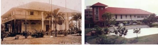 MGS Memories of 11 Mount Sophia